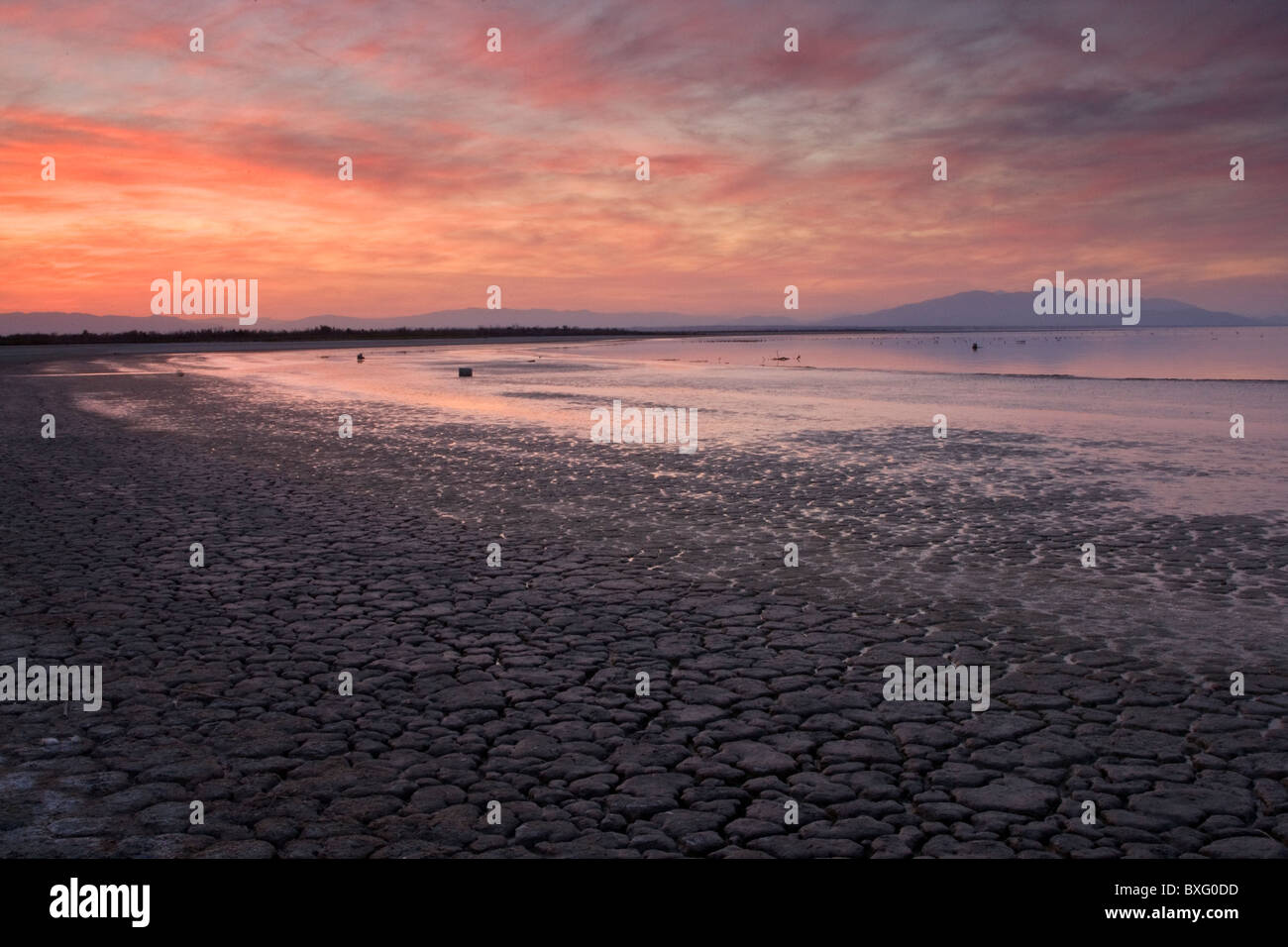 Salton see hi-res stock photography and images - Alamy