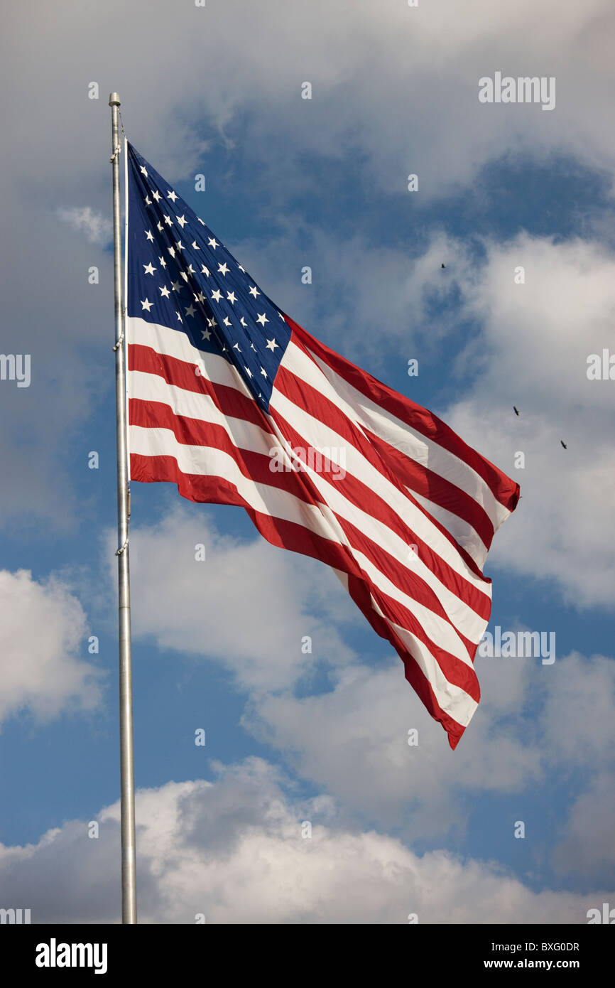 Flags of united states of america hi-res stock photography and images ...