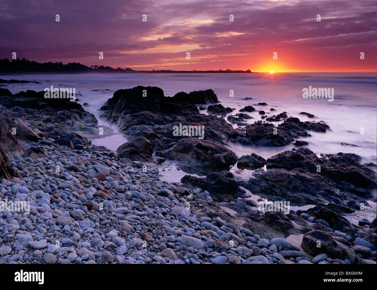 Asilomar hi-res stock photography and images - Alamy