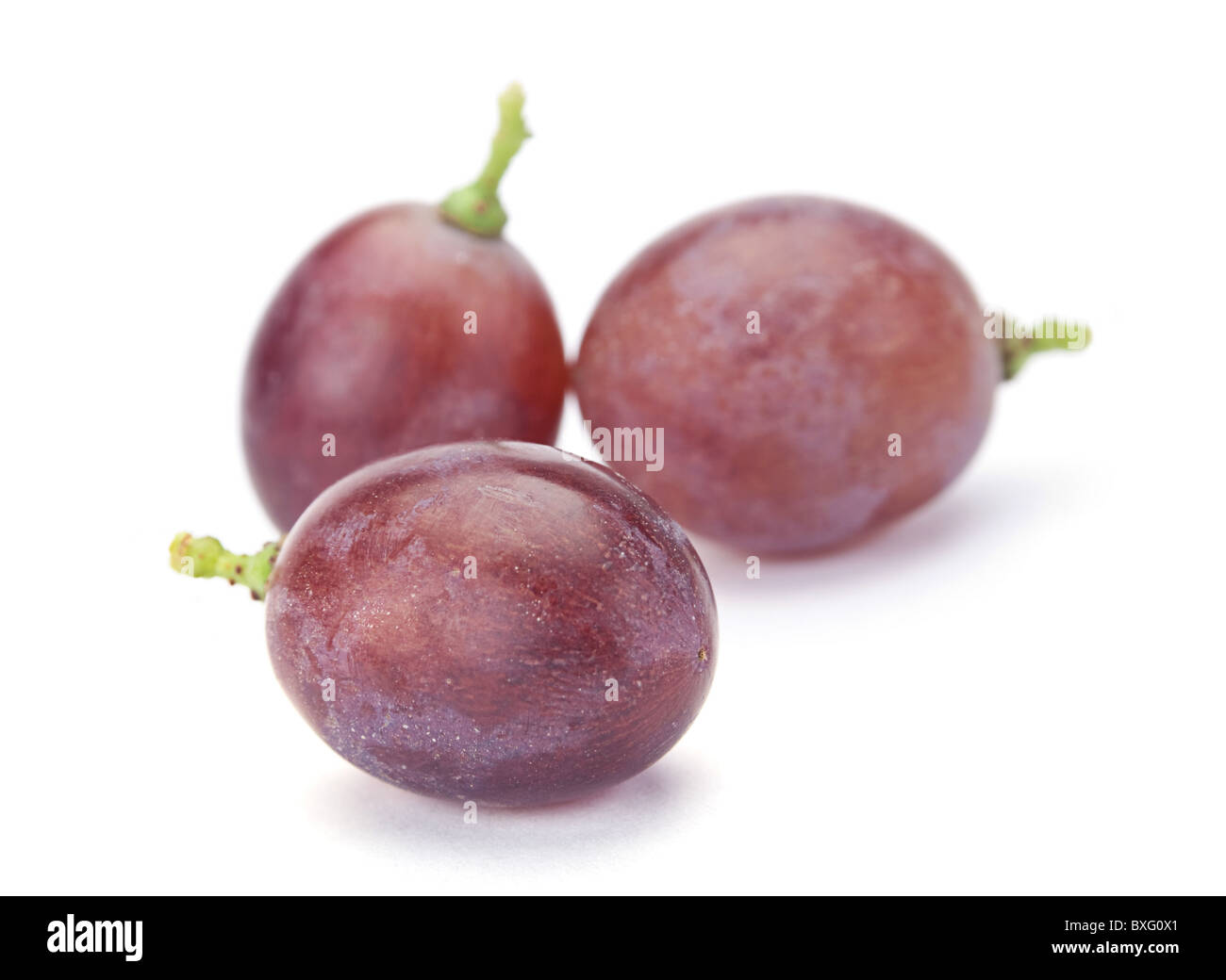 Grape hi-res stock photography and images - Alamy