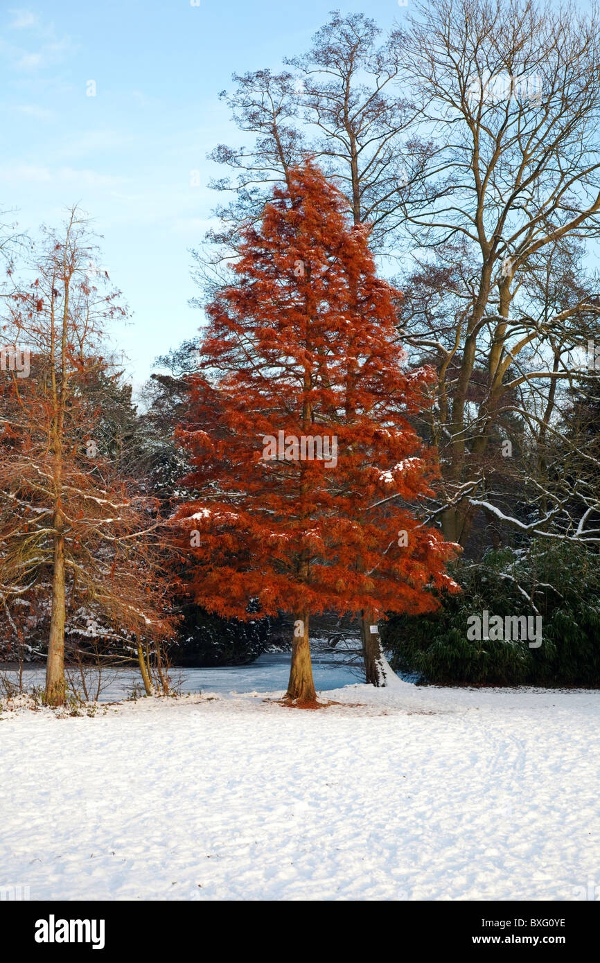 Elvaston Castle Grade II Listed Building and Country Park After Winter ...