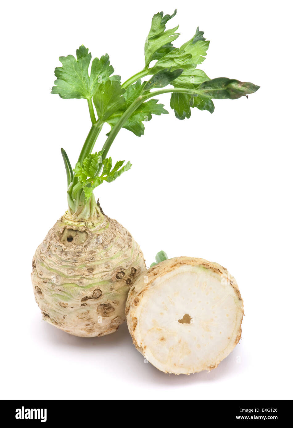 Fresh celery with root Stock Photo - Alamy