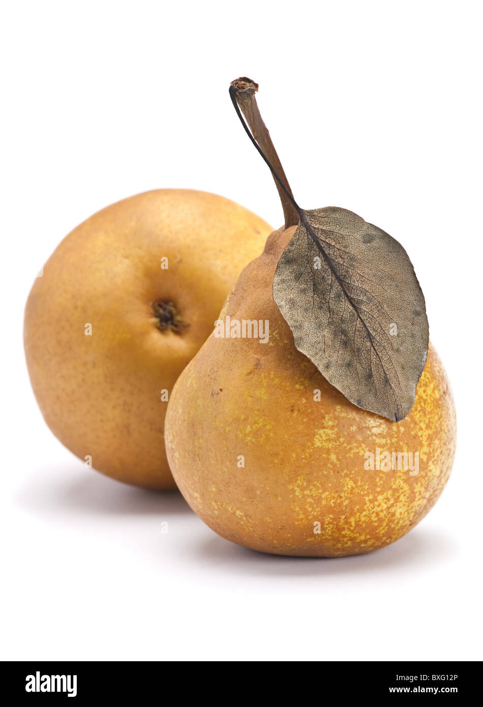 Pear shadow hi-res stock photography and images - Alamy