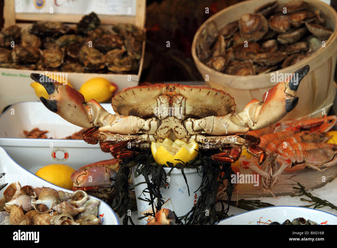 Seafood display outside a Swiss restaurant Stock Photo - Alamy