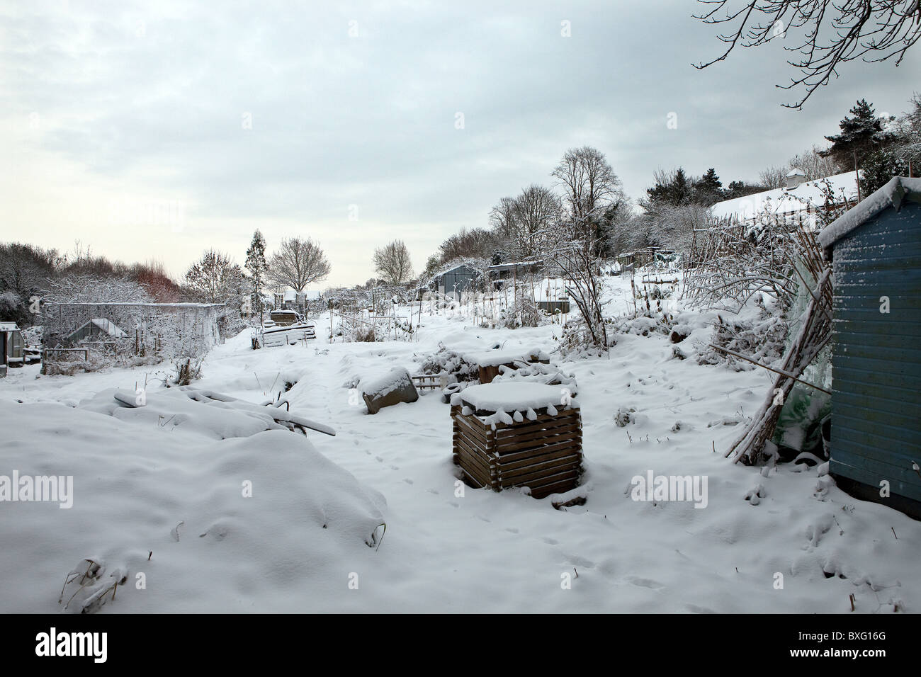 Empty Allotment High Resolution Stock Photography and Images - Alamy