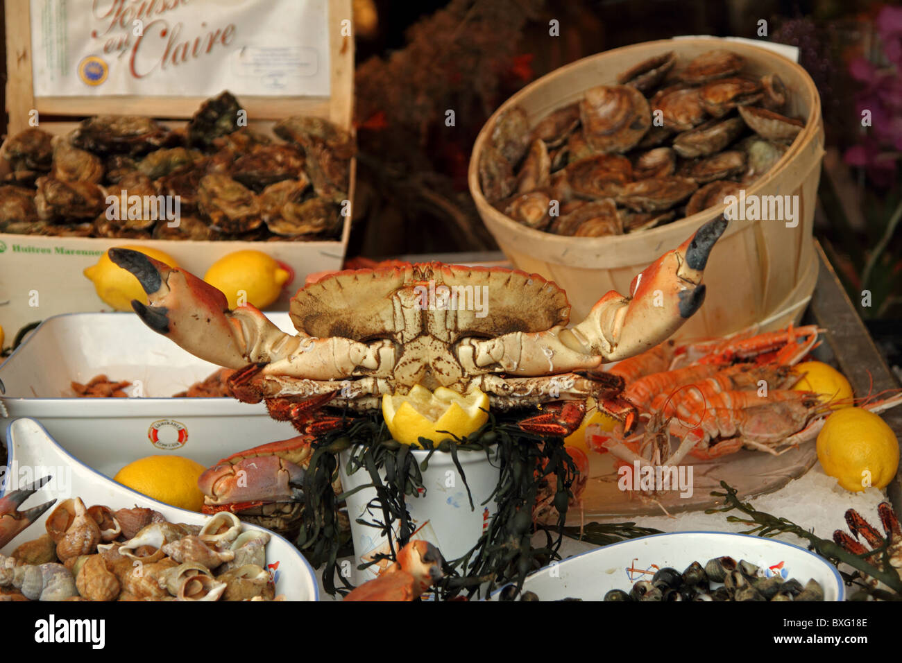 Seafood display outside a Swiss restaurant Stock Photo - Alamy