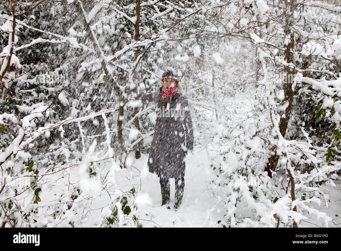 Woman being covered in snow falling from tree branches Stock Photo - Alamy