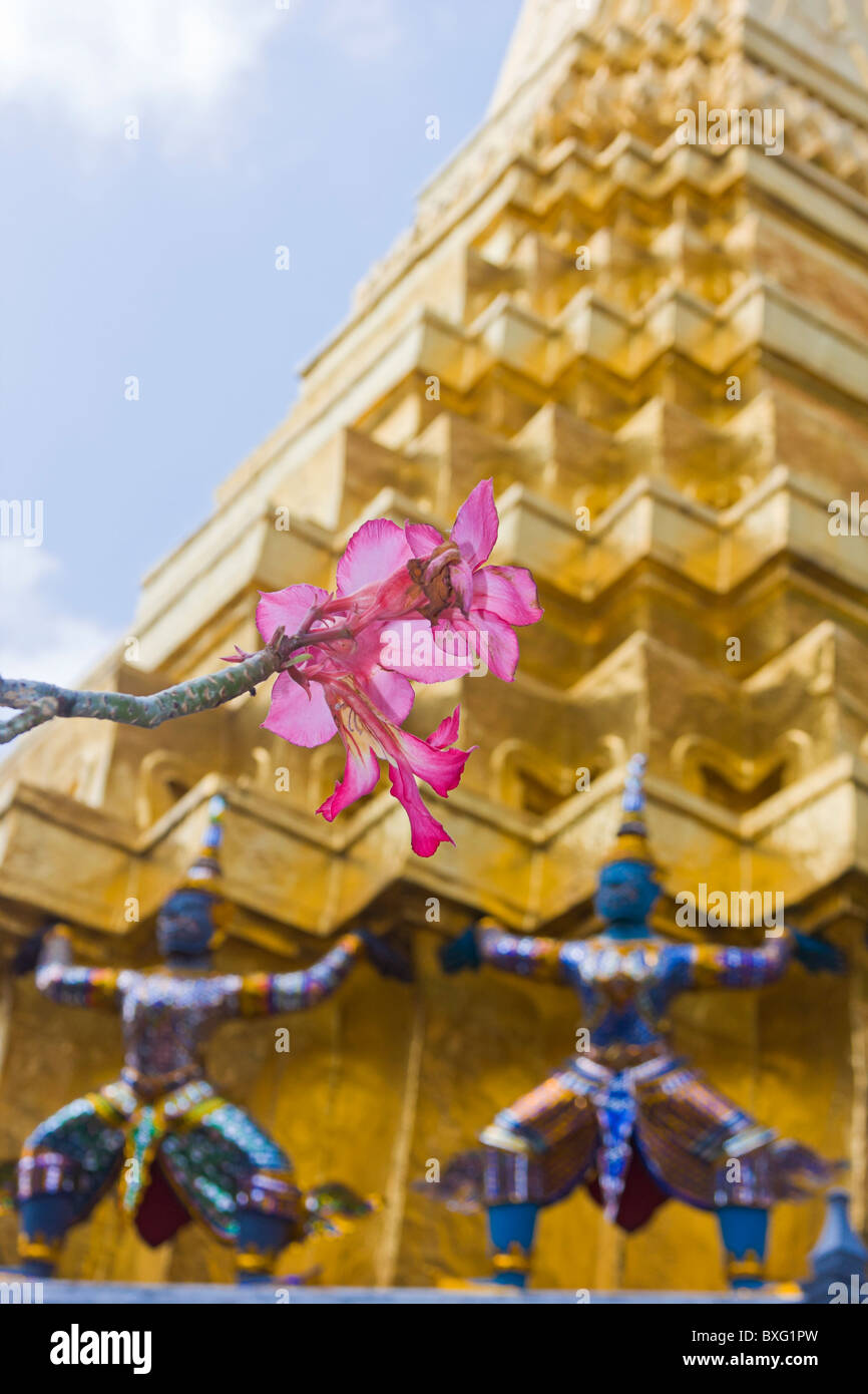 blooming flower against guardian demons (Yaksha) supporting the base of ...