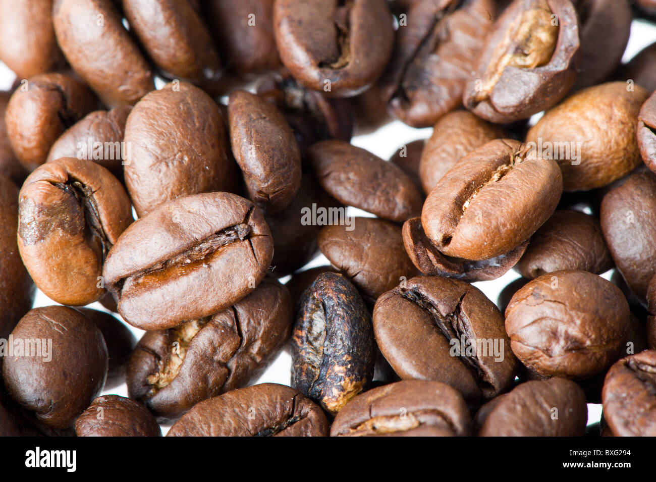 Many burned coffee beans on white background Stock Photo - Alamy