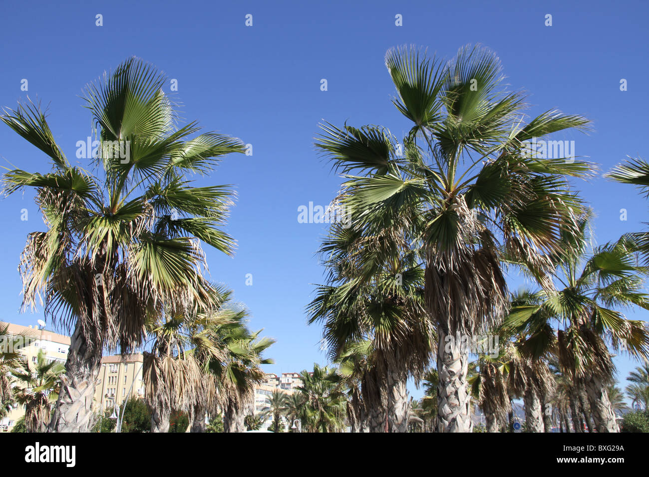 Warm november hi-res stock photography and images - Alamy