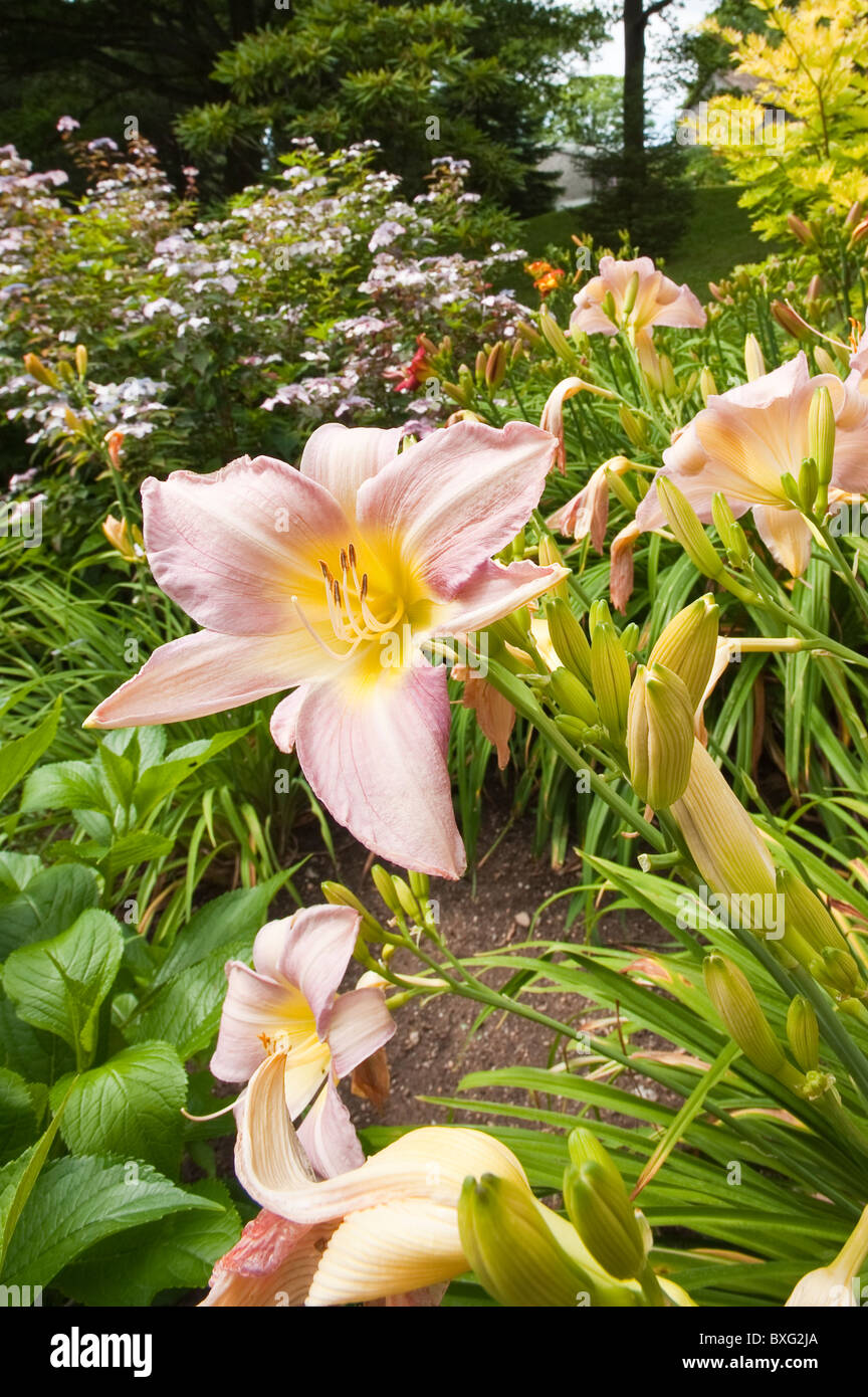 Annapolis Royal Historic Gardens, Nova Scotia, Canada Stock Photo - Alamy