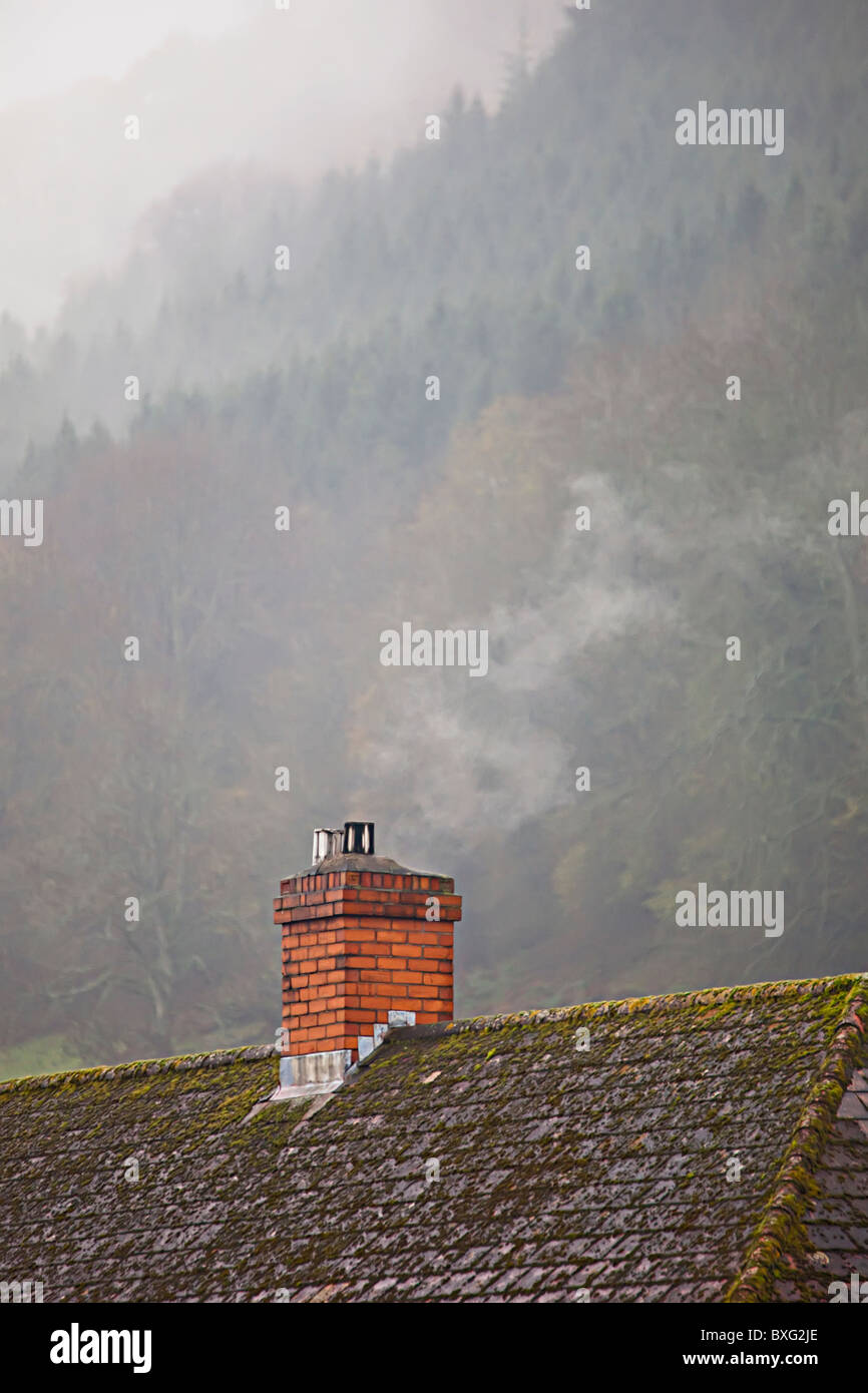 Red brick chimney on village house rooftop with smoke and forest behind ...