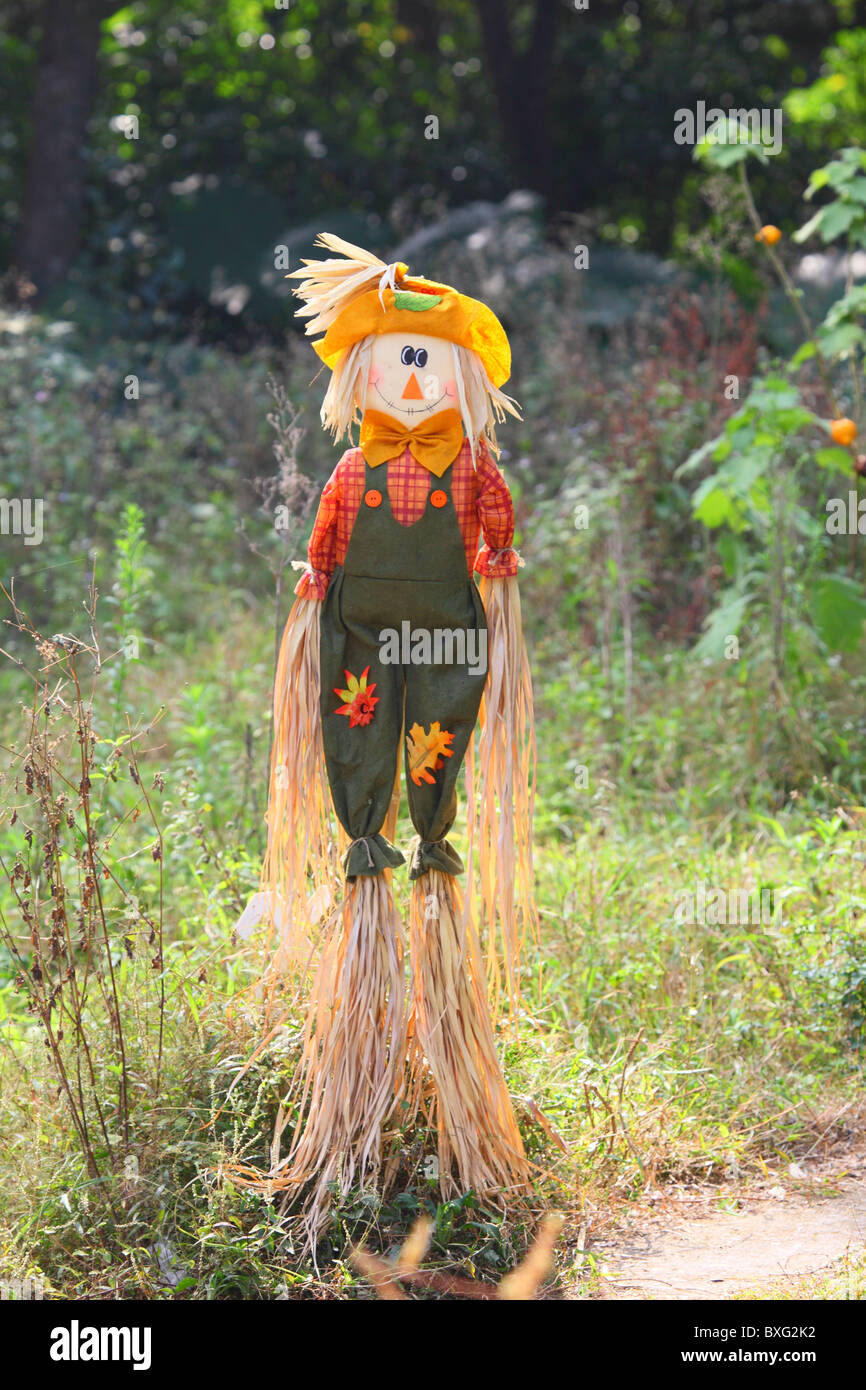 Scarecrow at the meadow Stock Photo - Alamy