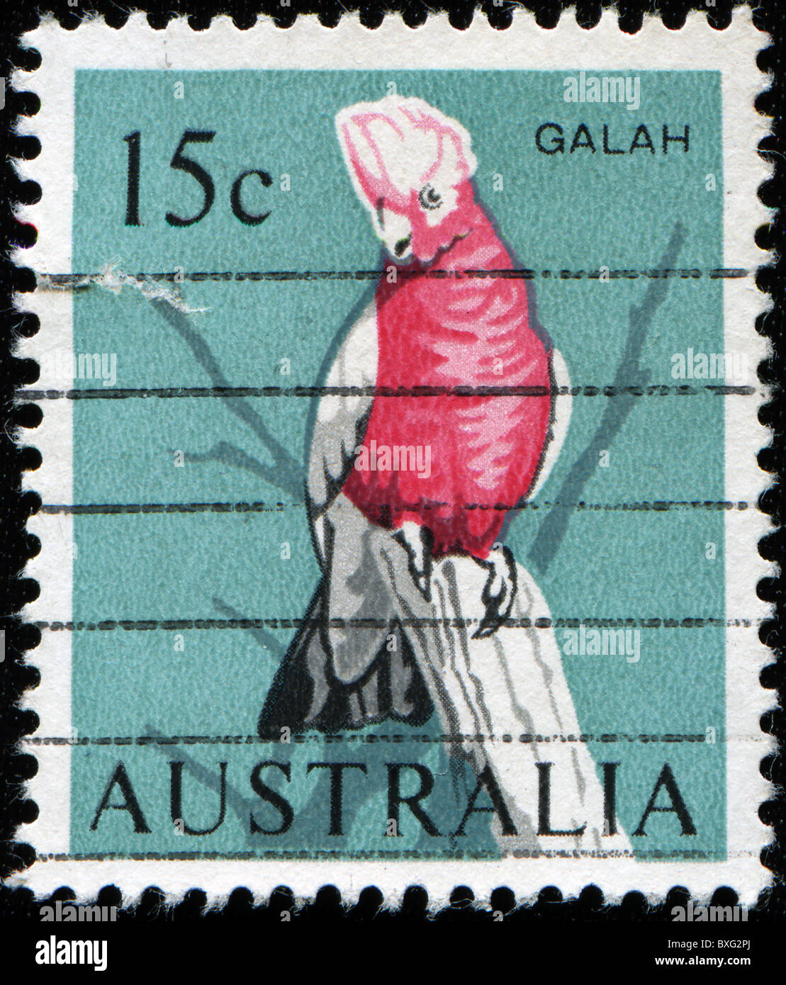 AUSTRALIA - CIRCA 1954: a stamp printed in Australia shows parrot Galah ...