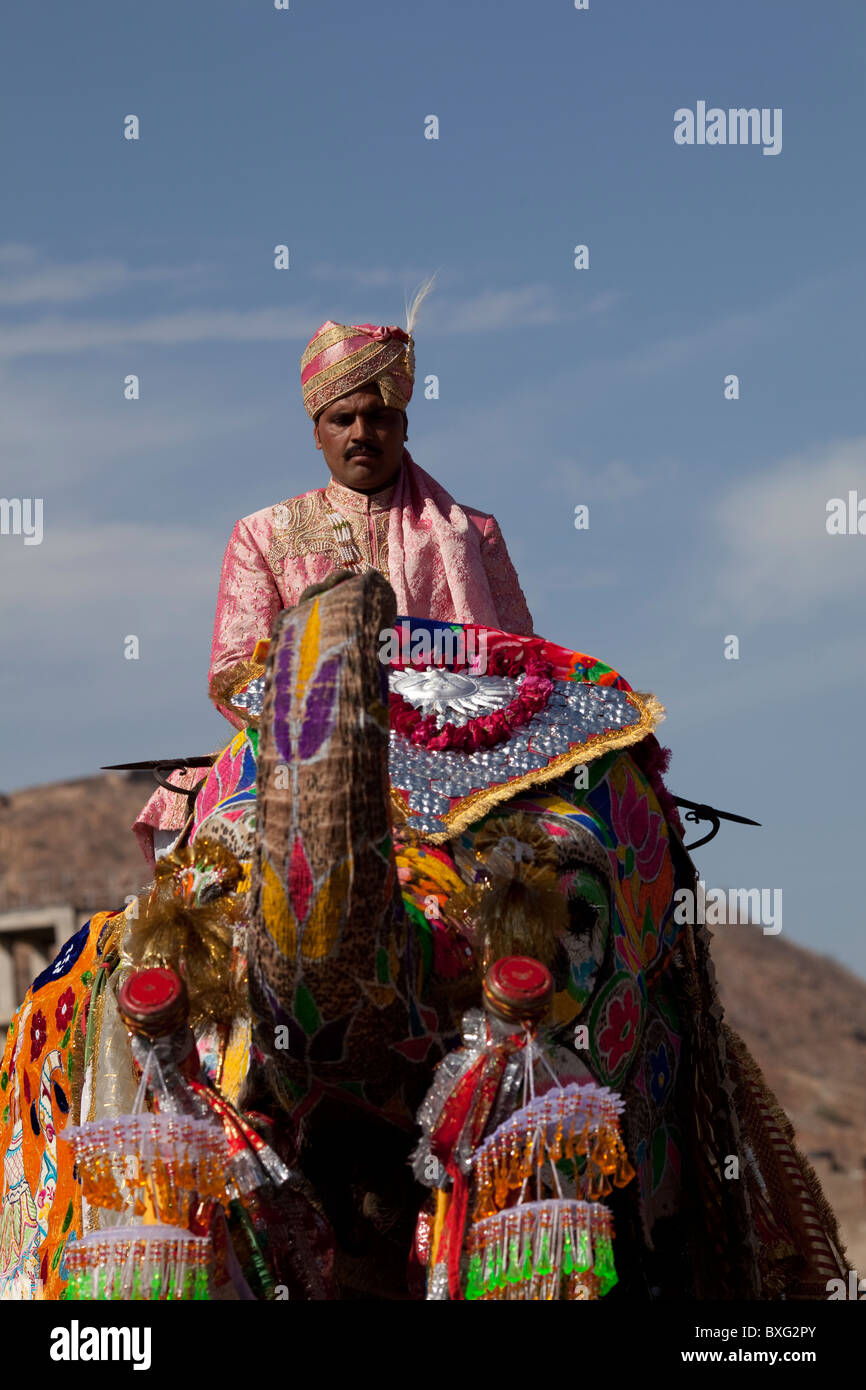 Indian elephant decorated hi-res stock photography and images - Alamy