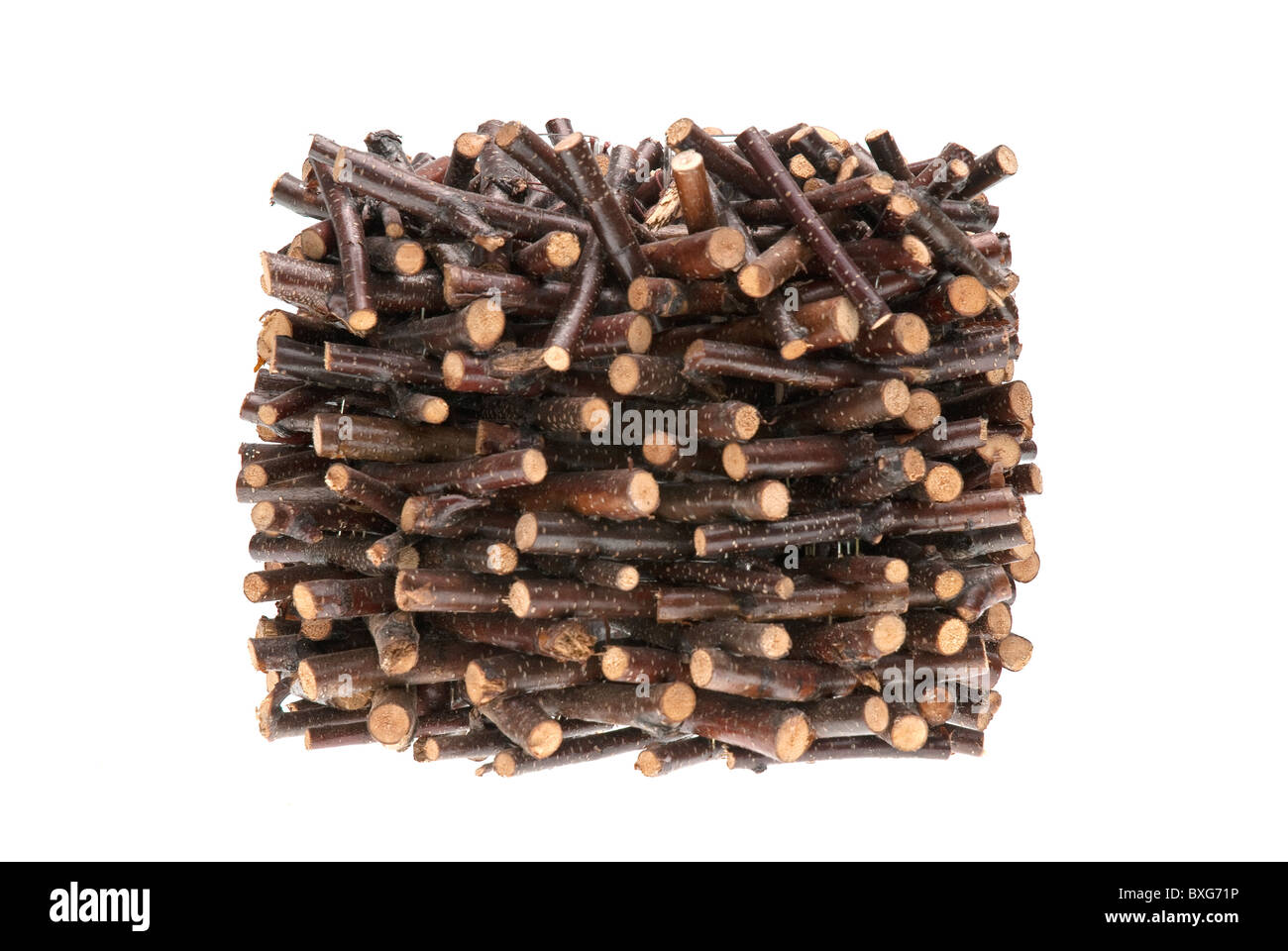 Pile of assorted sawed twigs and branches isolated on white background ...