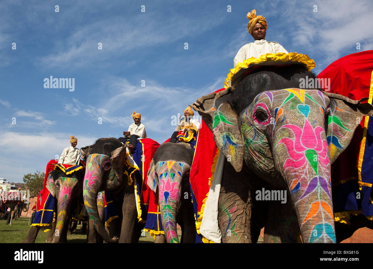 Elephant festival in Jaipur, India Stock Photo - Alamy