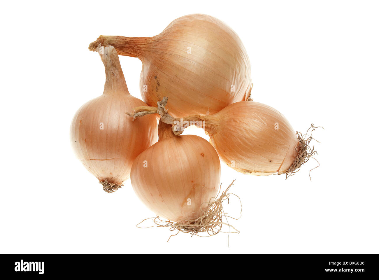 Four ripe onions isolated on a white background Stock Photo - Alamy