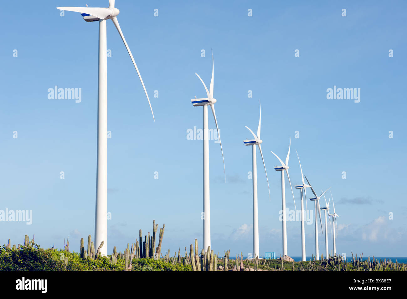 Wind Farm in Aruba Stock Photo - Alamy