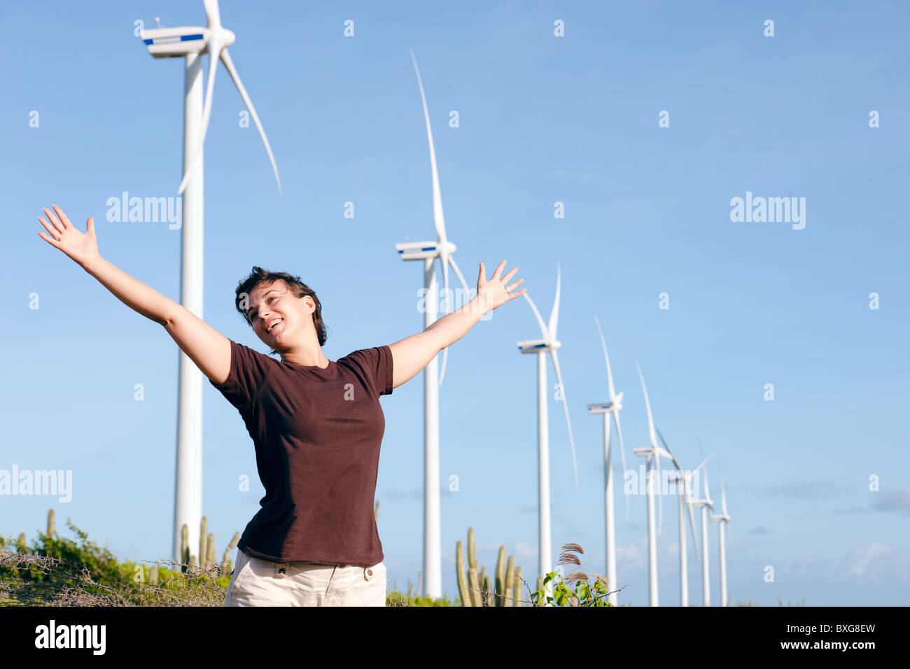 Wind Farm in Aruba Stock Photo - Alamy
