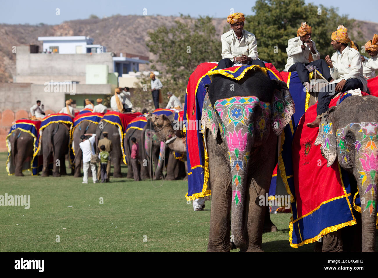 Elephant festival in Jaipur, India Stock Photo - Alamy