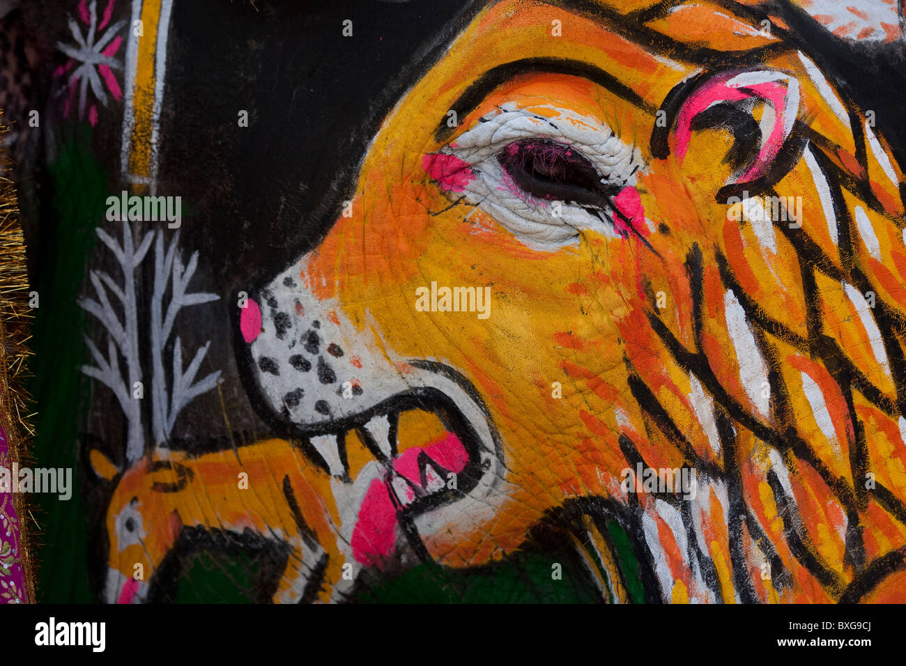 Chaugan stadium hi-res stock photography and images - Alamy