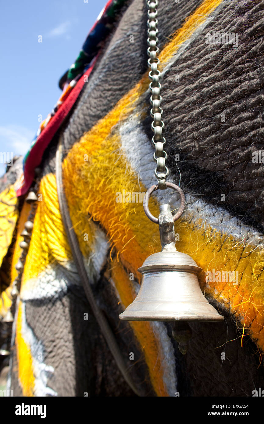 Chaugan stadium hi-res stock photography and images - Alamy