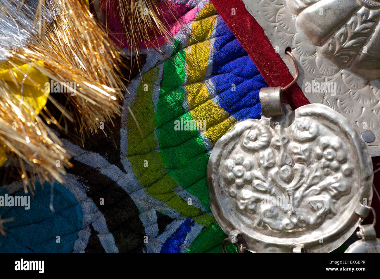 India elephant parade hi-res stock photography and images - Alamy