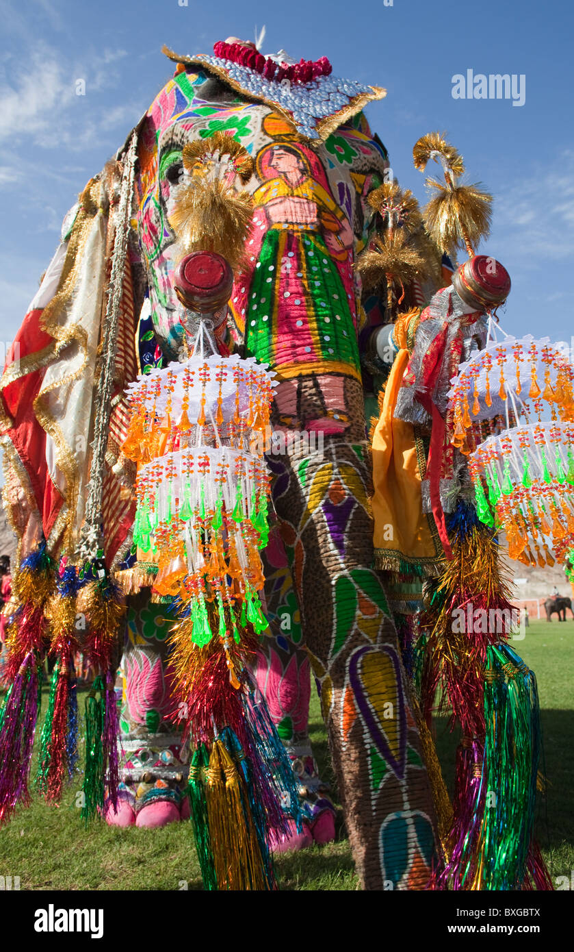 Elephant festival in Jaipur, India Stock Photo - Alamy