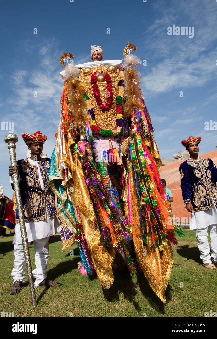 Elephant festival in Jaipur, India Stock Photo - Alamy