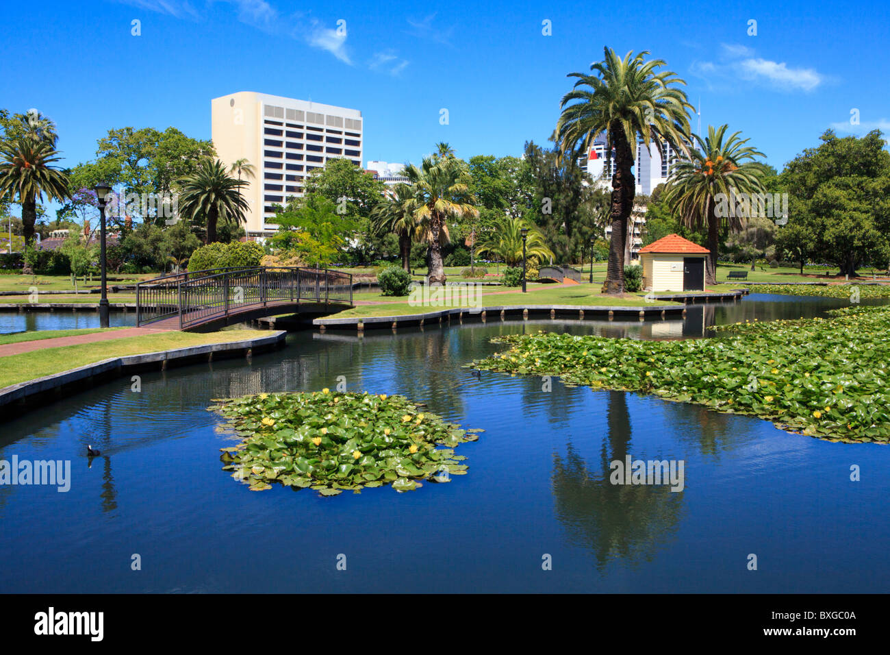 Queens gardens perth hi-res stock photography and images - Alamy