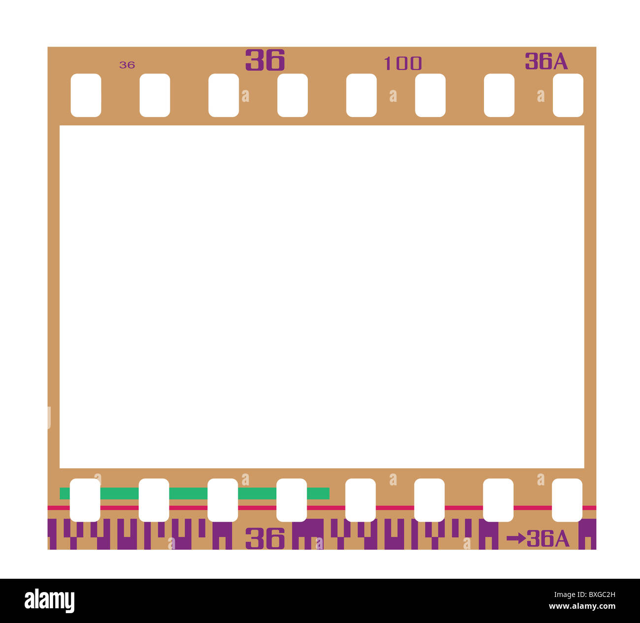 35mm negative frame, with details and accurate dimension. Realistic ...
