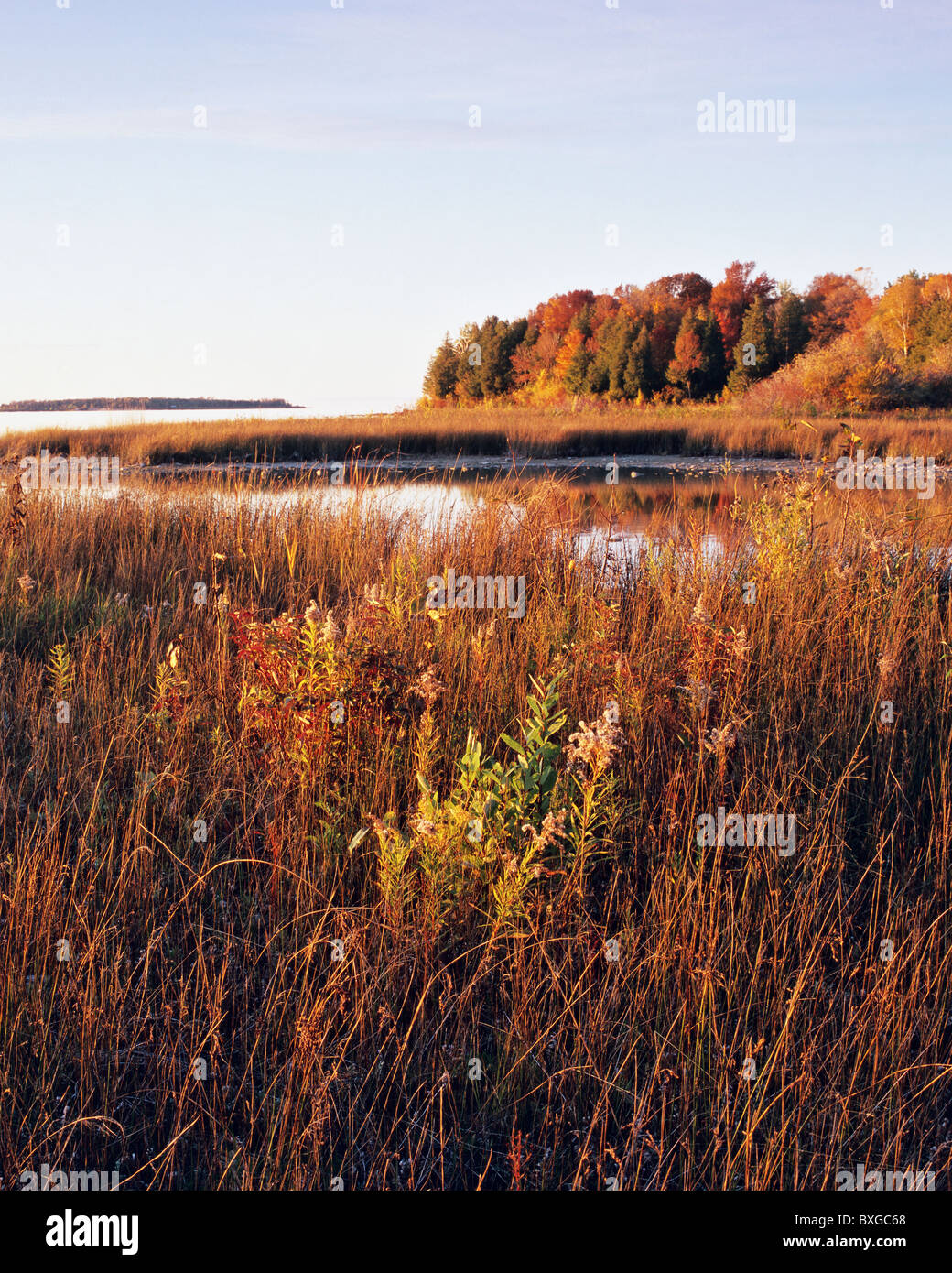 Shoreline marsh at sunset, Peninsula State Park, Wisconsin, USA Stock ...