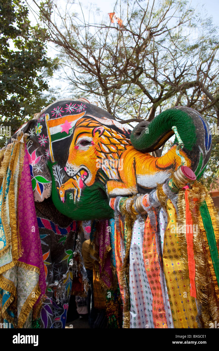 Elephant festival in Jaipur, India Stock Photo - Alamy