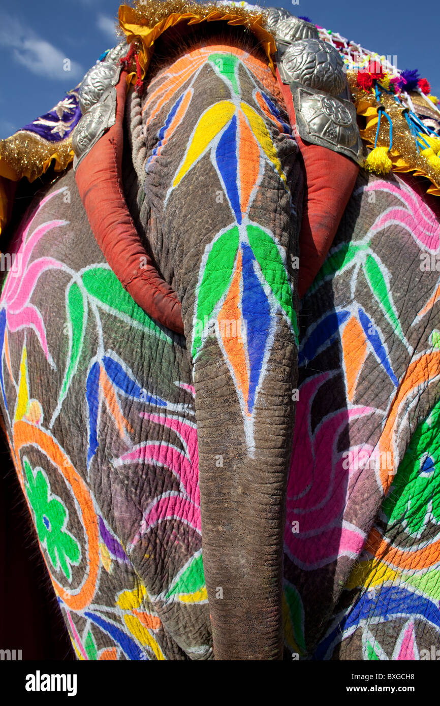 Elephant festival in Jaipur, India Stock Photo - Alamy