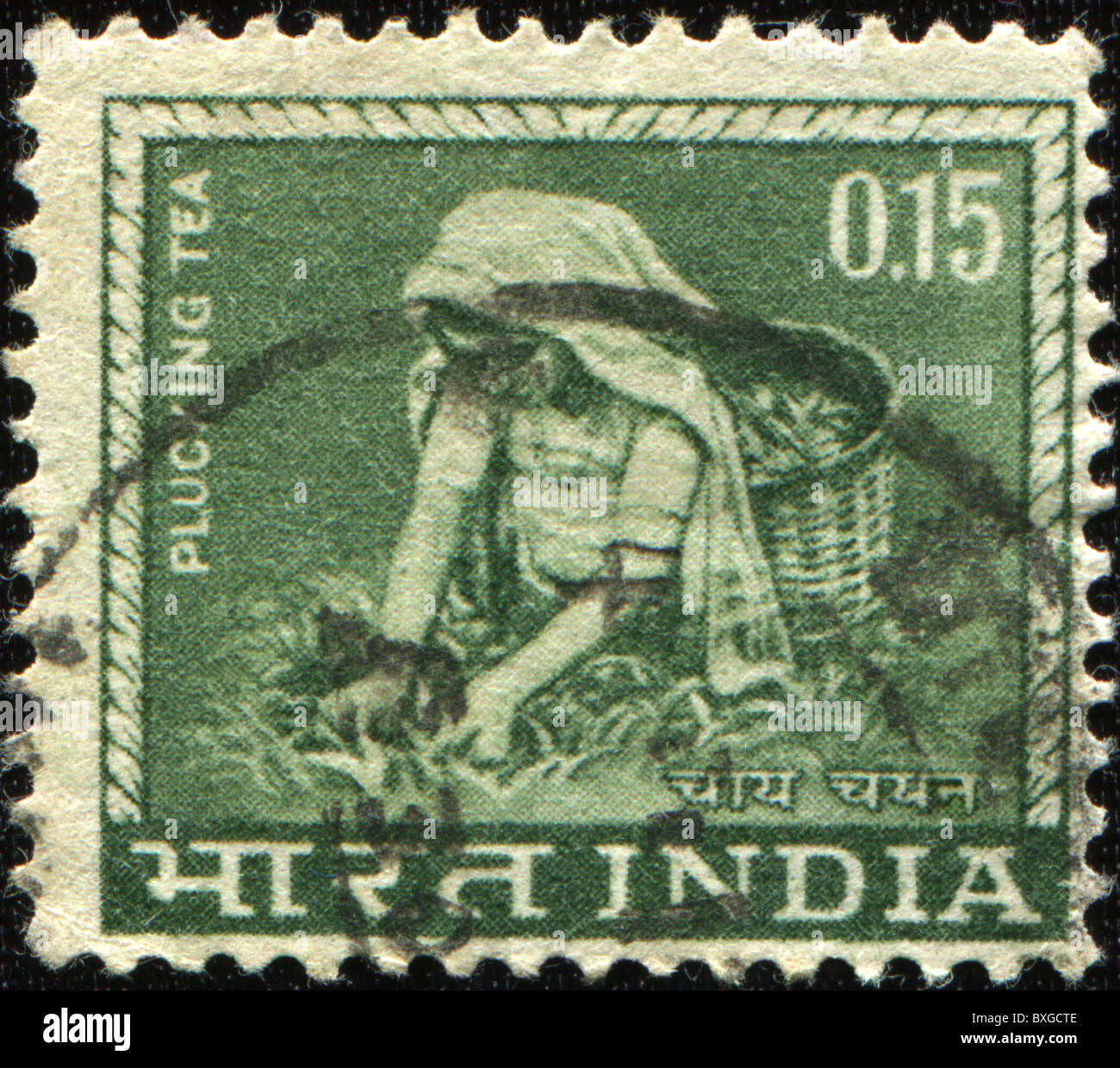 INDIA - CIRCA 1965: A stamp printed in India shows woman plucking tea ...