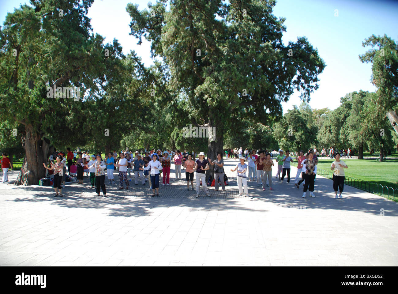 Dancing, Outdoor, Morning Activity, Temple of Heaven Park, Beijing ...