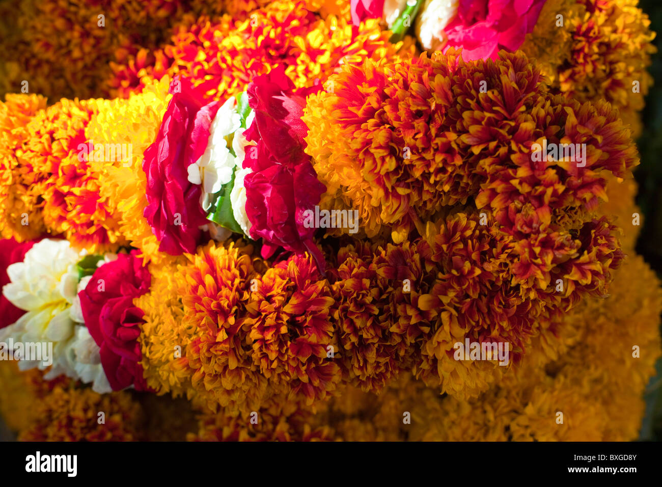 Flowers on a stall at the flower market in Jaipur, India Stock Photo ...