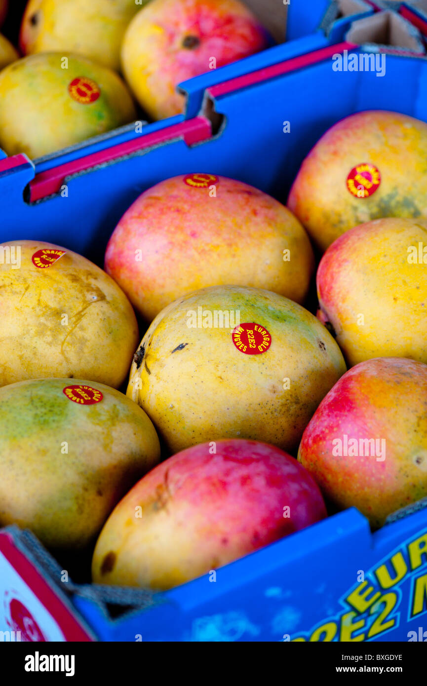 Mangoes sale market tropical hi-res stock photography and images - Alamy
