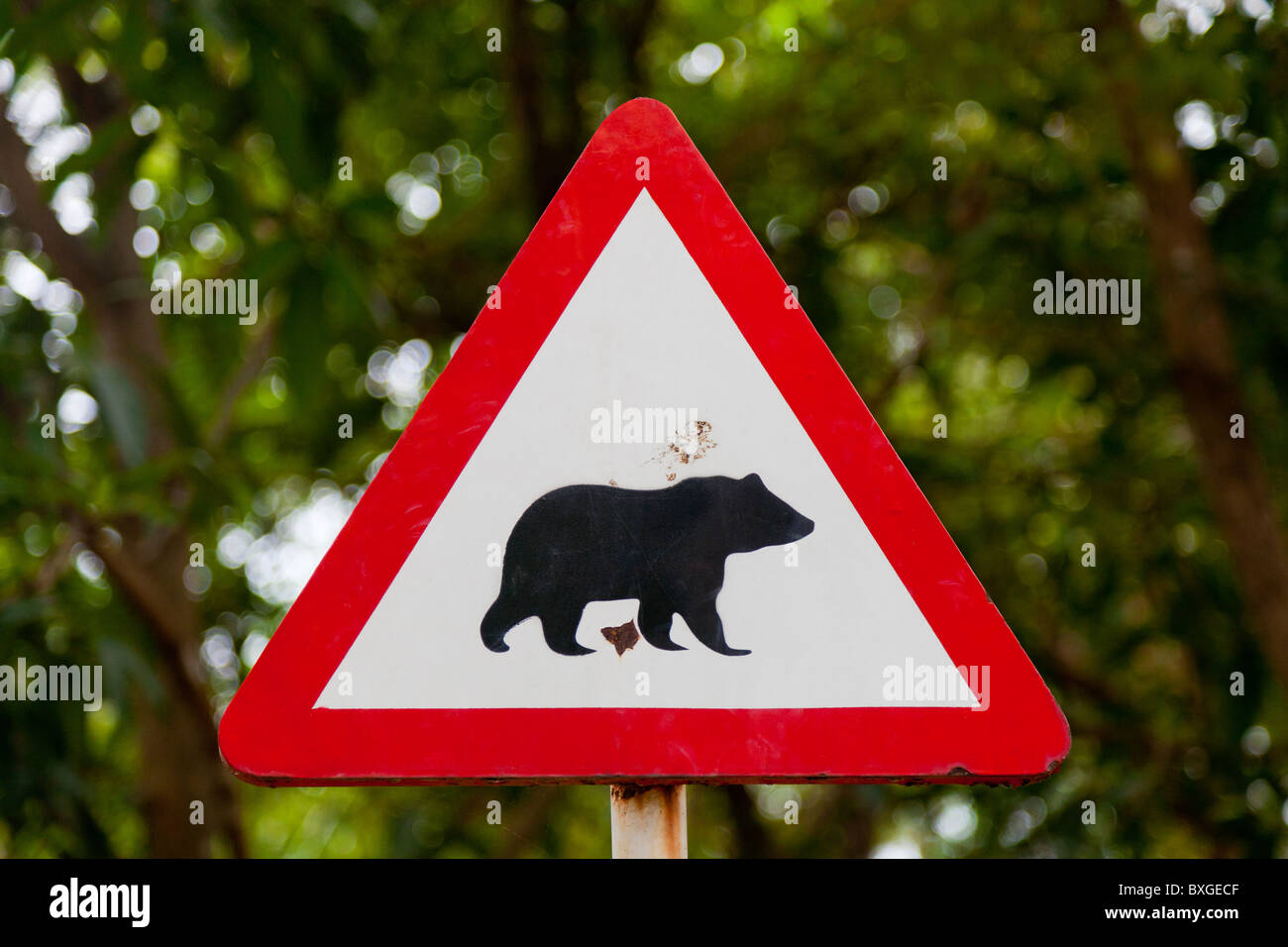 Bear warning sign hi-res stock photography and images - Alamy