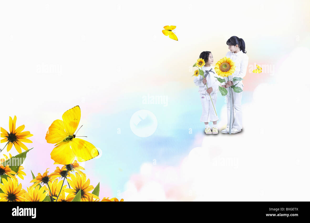 children and sunflower Stock Photo - Alamy