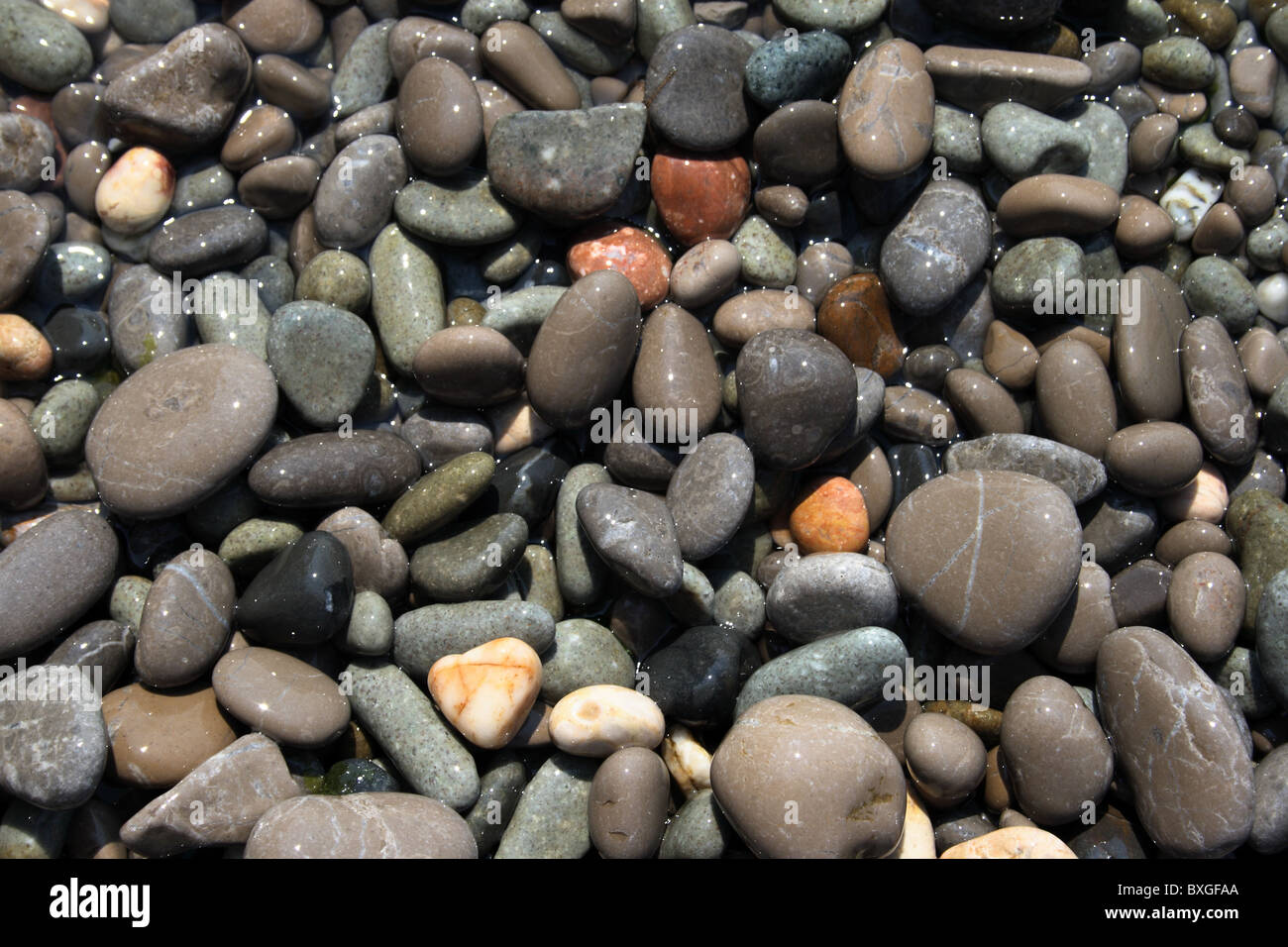 Closeup of assorted smooth stones Stock Photo - Alamy