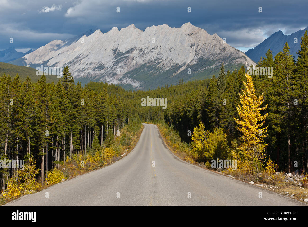 Maligne Road and Colin Range, Jasper National Park, Alberta, Canada ...