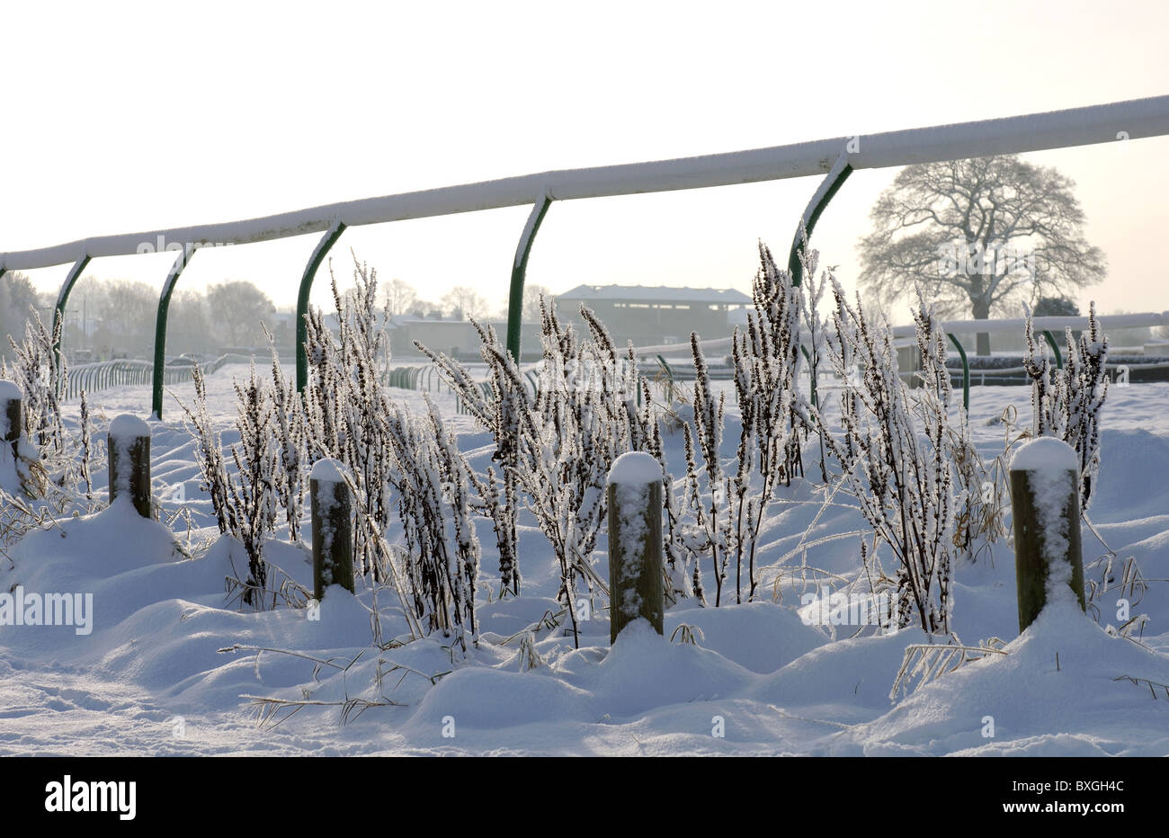 Great snow racecourse hi-res stock photography and images - Alamy