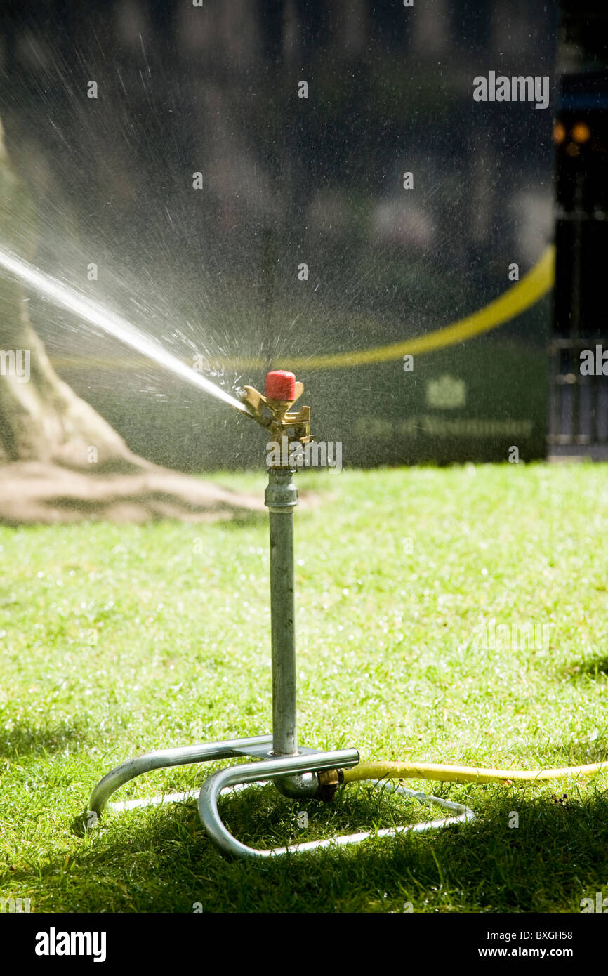 Rotating / rotational sprinkler watering / applying water to the grass ...