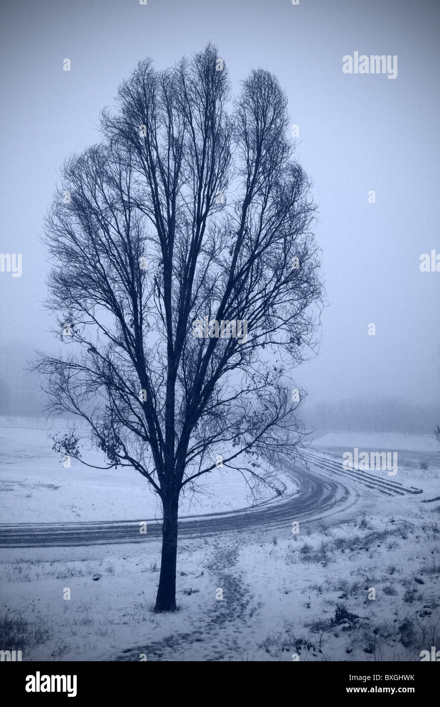 Dark tinted landscape hi-res stock photography and images - Alamy