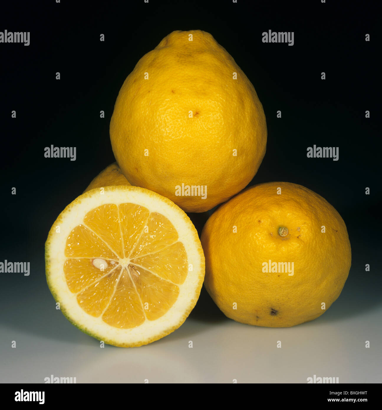 Whole & sectioned fruit from citrus rootstock tree - Swingle Citrumelo ...