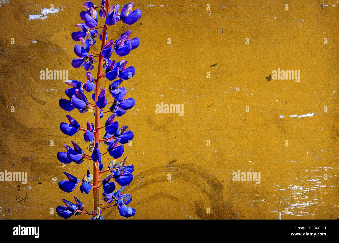 grunge vegetable background Stock Photo - Alamy