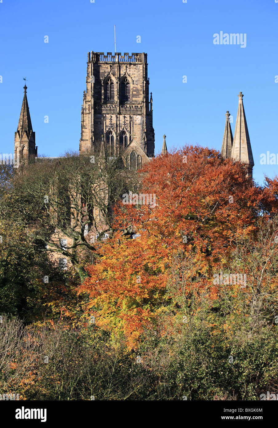 The main tower of Durham cathedral seen past autumn foliage Stock Photo ...