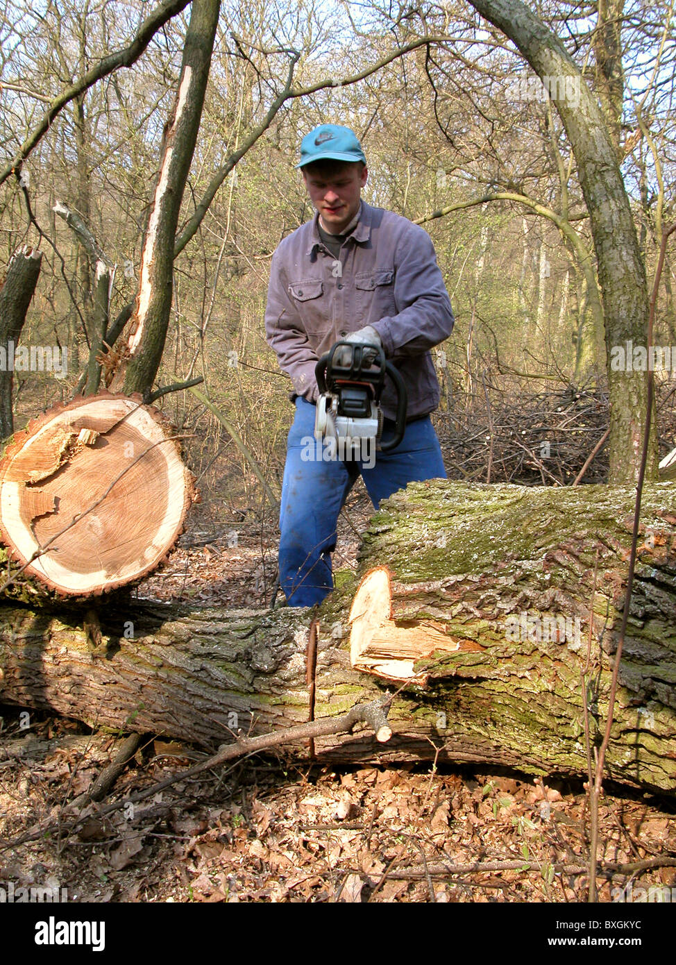 Operation lumberjack hi-res stock photography and images - Alamy